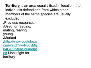 Animal Behavior.ppt.pdffukkvvfddddddfghjiihg | PPT