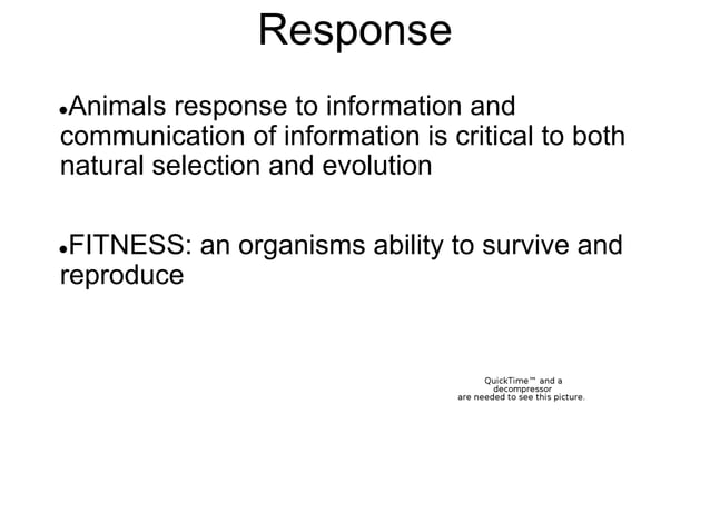 Animal Behavior.ppt.pdf................... | PDF