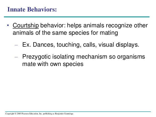 Animal behavior 2012 2013