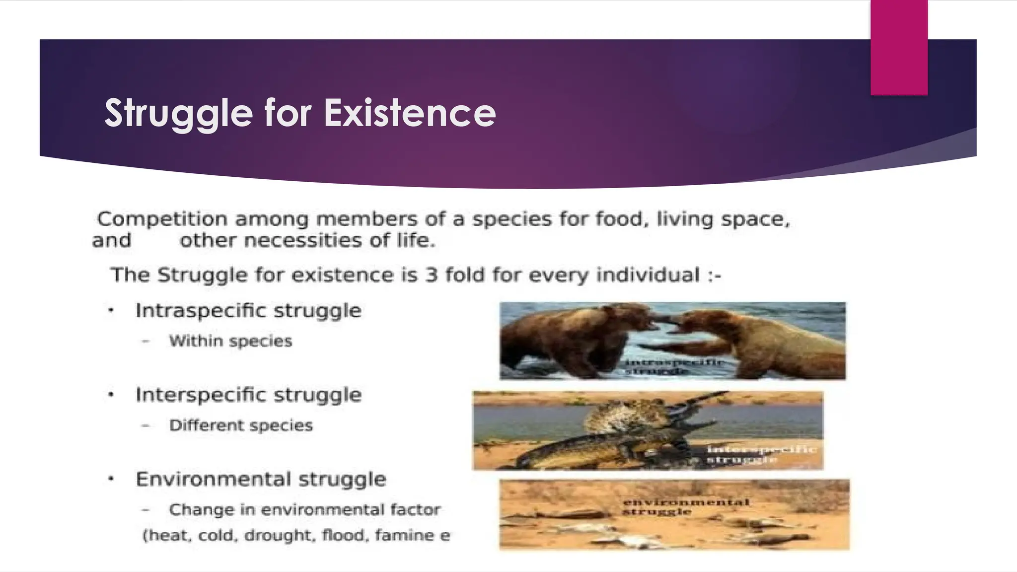 Animal Behavior and Theory of Natural Selection 5th.pptx