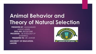 Animal Behavior and Theory of Natural Selection 5th.pptx