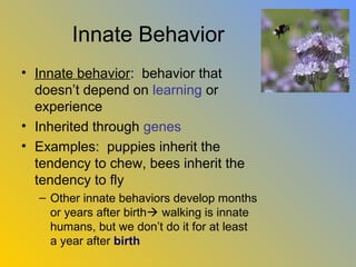 Animal behavior and social relationships | PPT