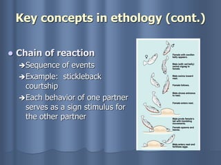 this ppt explain about animal behavior and welfare.ppt