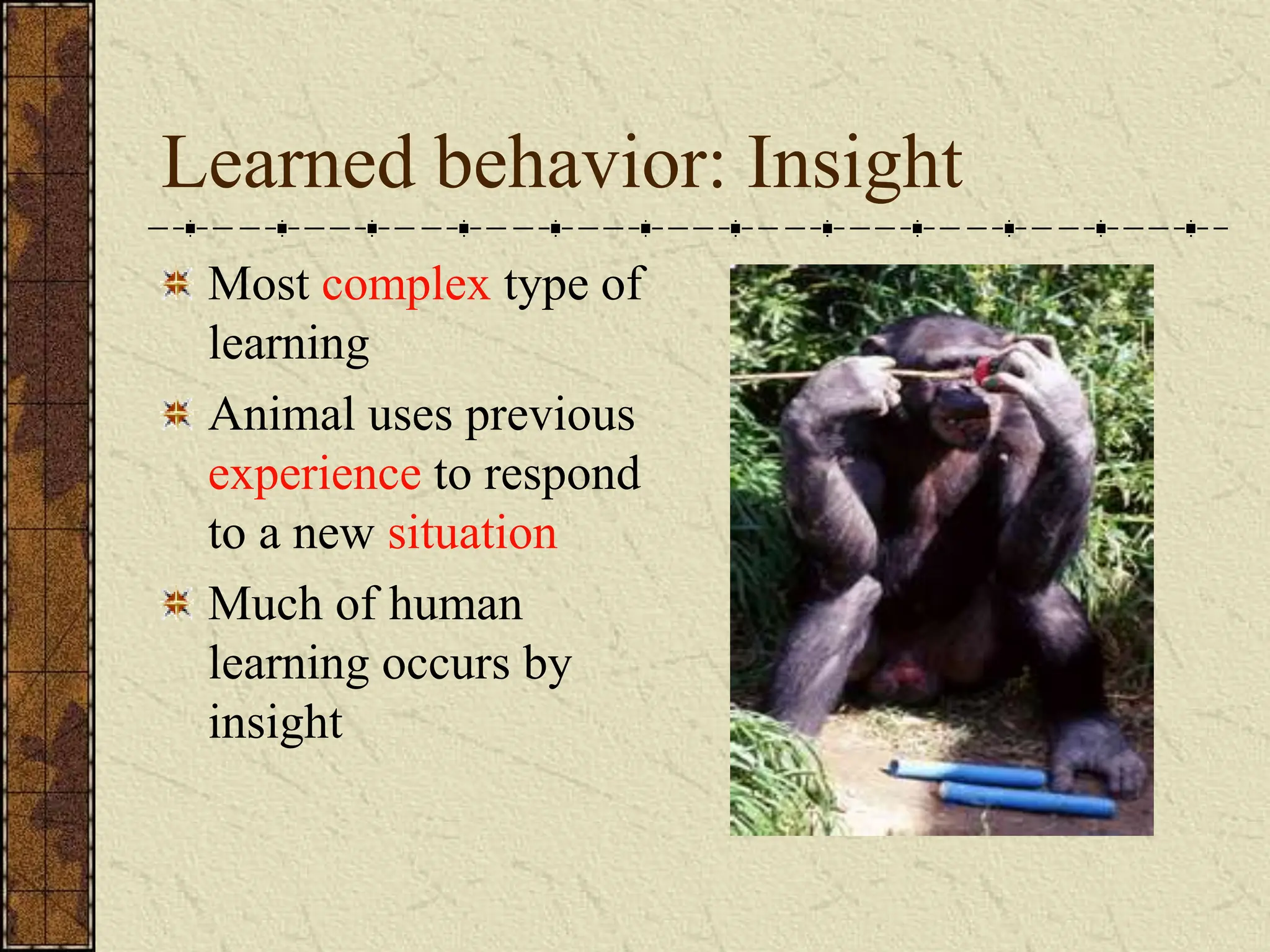 animal behavior and welfare.ppt which is used to introduce the ...