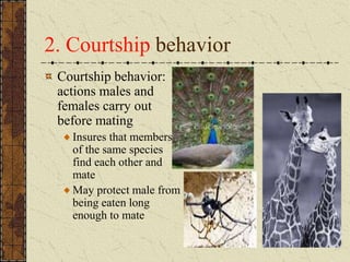 animal behavior and welfare.ppt which is used to introduce the ...