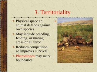 animal behavior and welfare.ppt which is used to introduce the ...