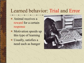 animal behavior and welfare.ppt which is used to introduce the ...