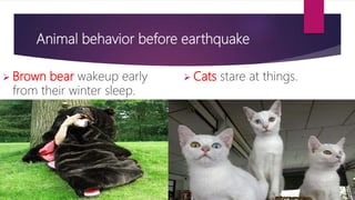 Animal behavior before earthquake | PPTX