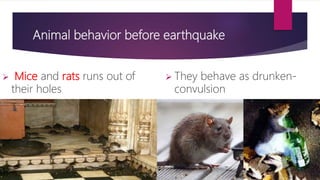 Animal behavior before earthquake | PPTX