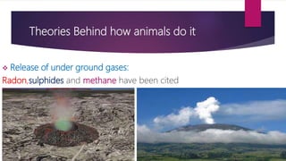 Animal behavior before earthquake | PPTX