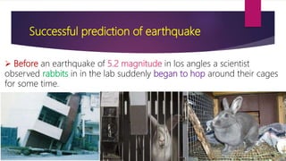 Animal behavior before earthquake | PPTX