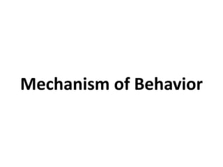 Animal behavior & its relation to coordination systems | PPTX