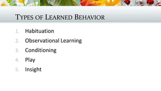 Animal behavior notes | PPTX