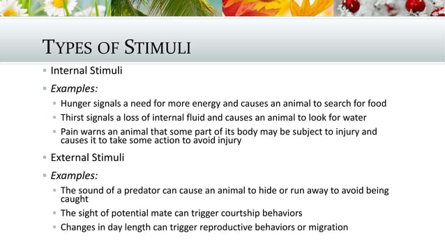 Animal behavior notes | PPTX