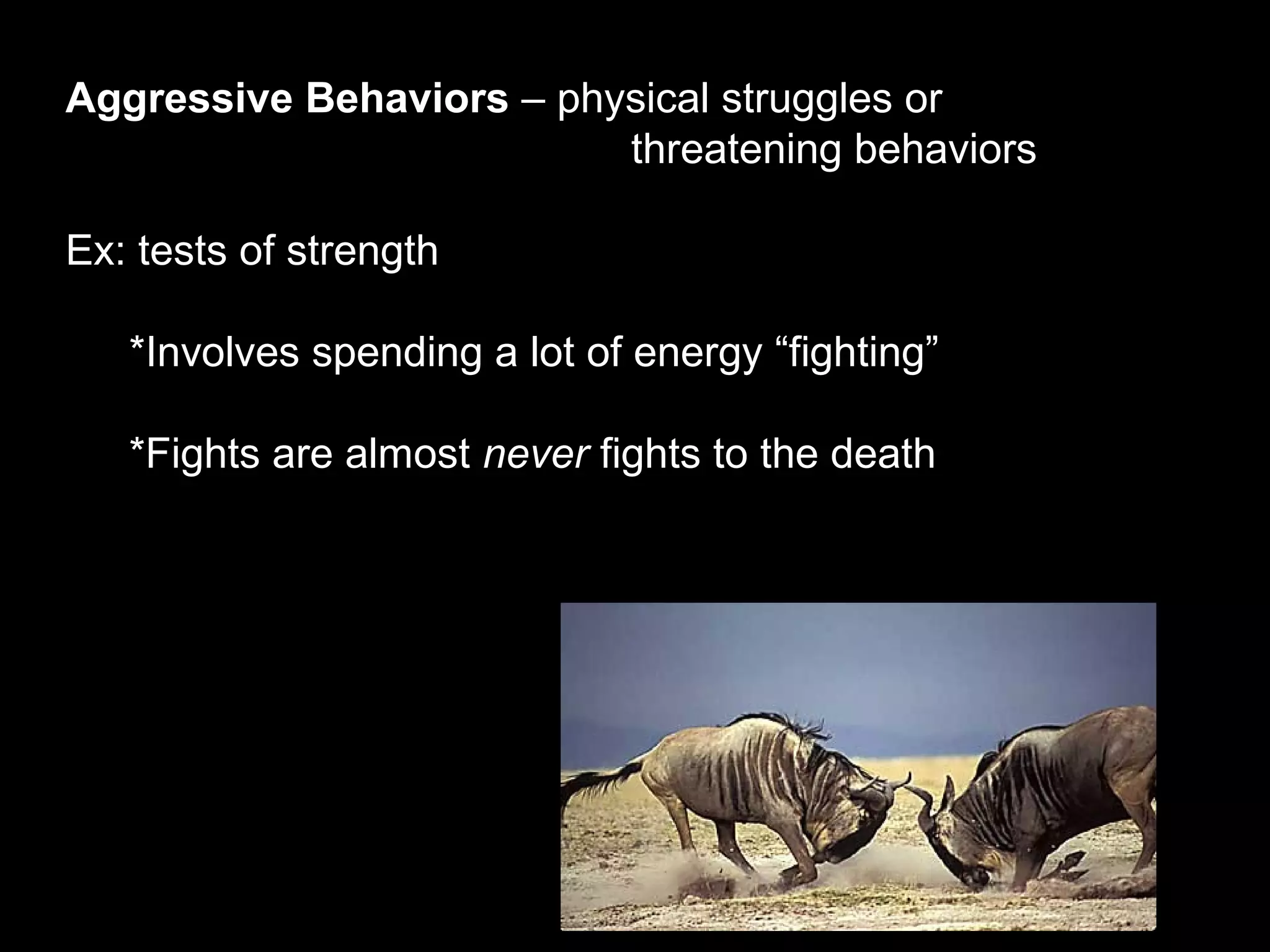 Animal Behavior Part 2 | PPT