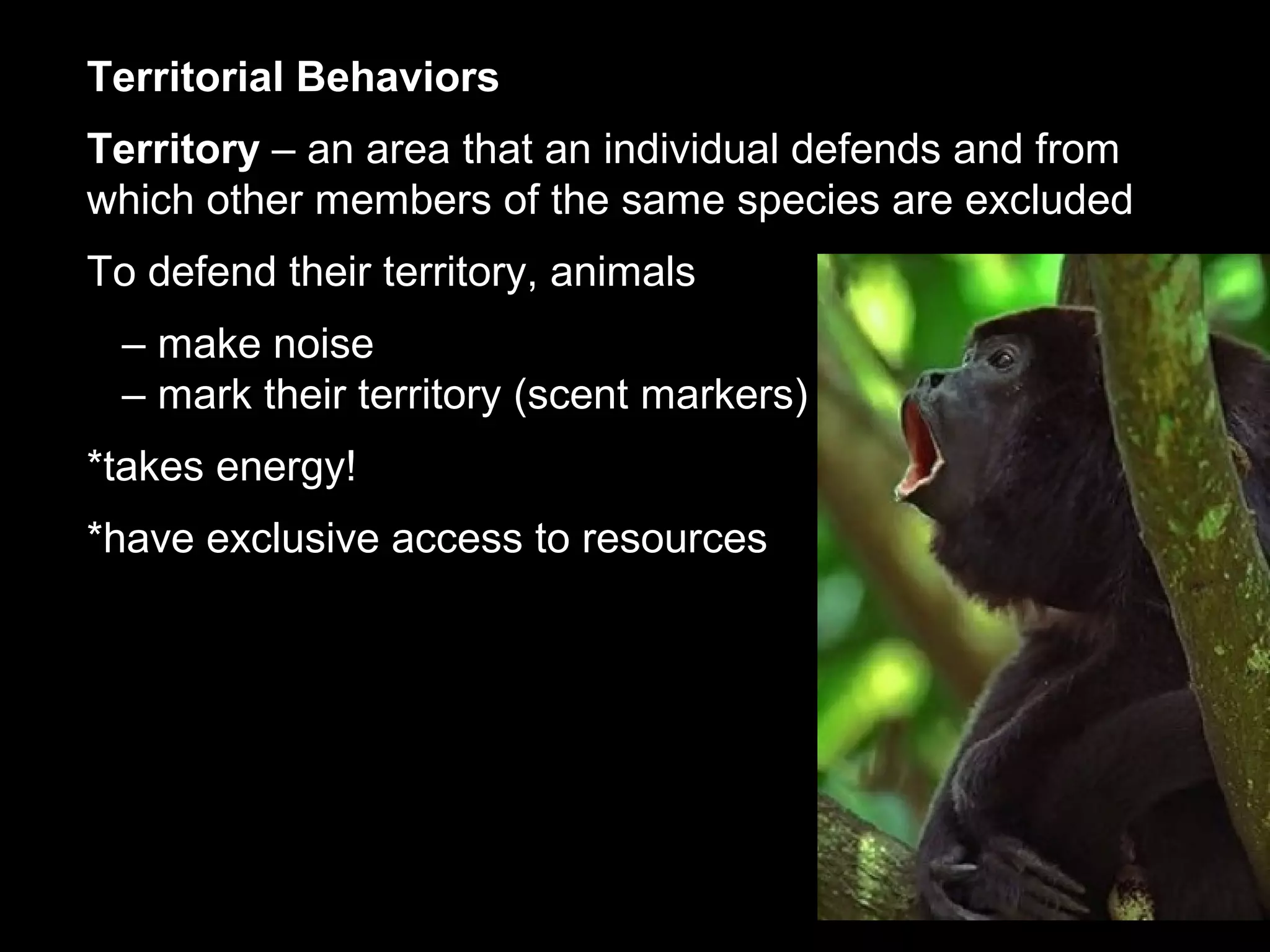 Animal Behavior Part 2 | PPT