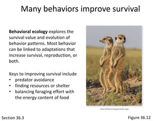 Animal behavior part 2 | PPT