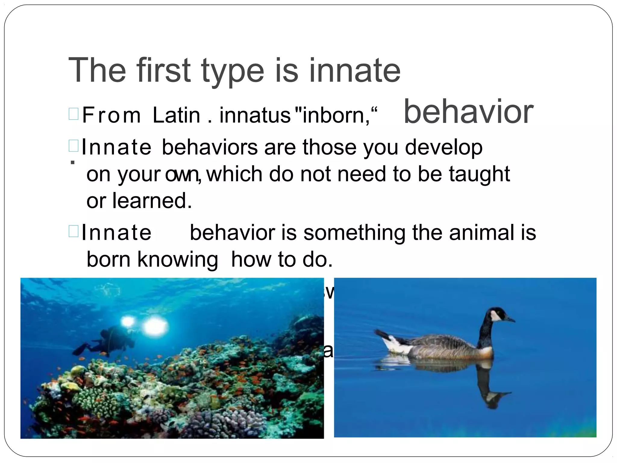 animalbehaviorpowerpoint-130608123830-phpapp02.pptx