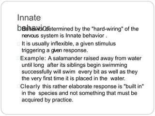 animalbehaviorpowerpoint-130608123830-phpapp02.pptx