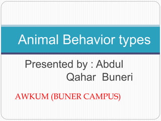 animalbehaviorpowerpoint-130608123830-phpapp02.pptx
