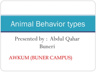 Animal behavior powerpoint | PPT