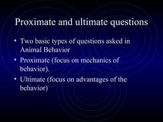 Animalbehaviorppt | PPT