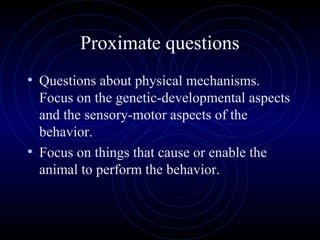 Animalbehaviorppt | PPT