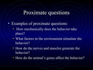 Animalbehaviorppt | PPT