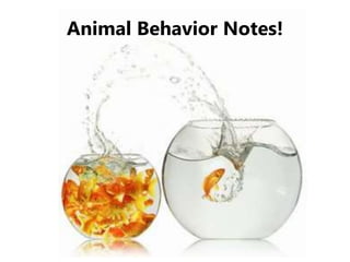 Animal Behavior and it's type to show the | PPT | Biological Sciences ...