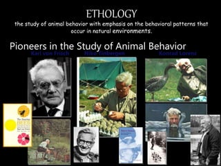 Animal Behavior and it's type to show the | PPT | Biological Sciences ...