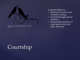 Animal behaviors | PPT