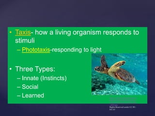 Animal behaviors | PPT