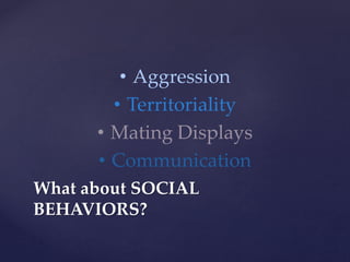 Animal behaviors | PPT