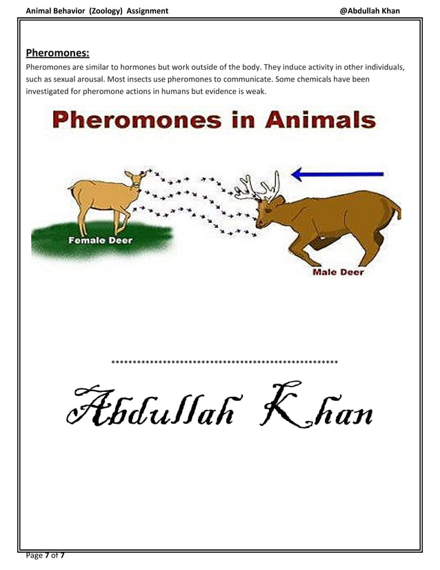 Animal Hormones And Behavior (Zoology).pdf