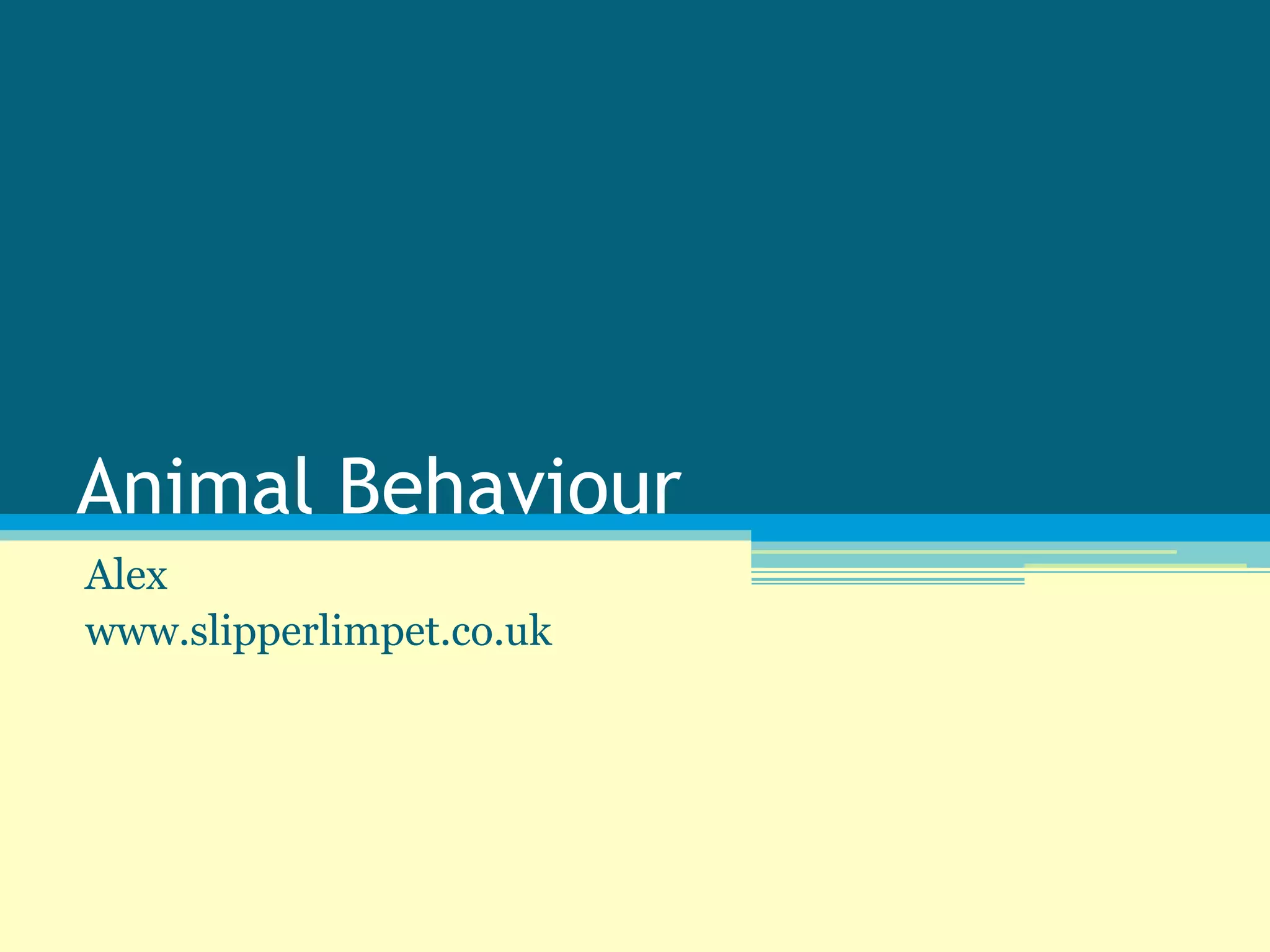 Animal behaviour | PPTX