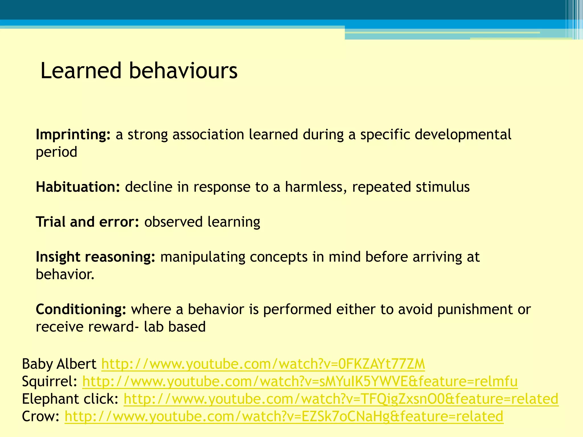 Animal behaviour | PPTX