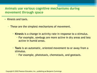 Animal behaviour | PPTX