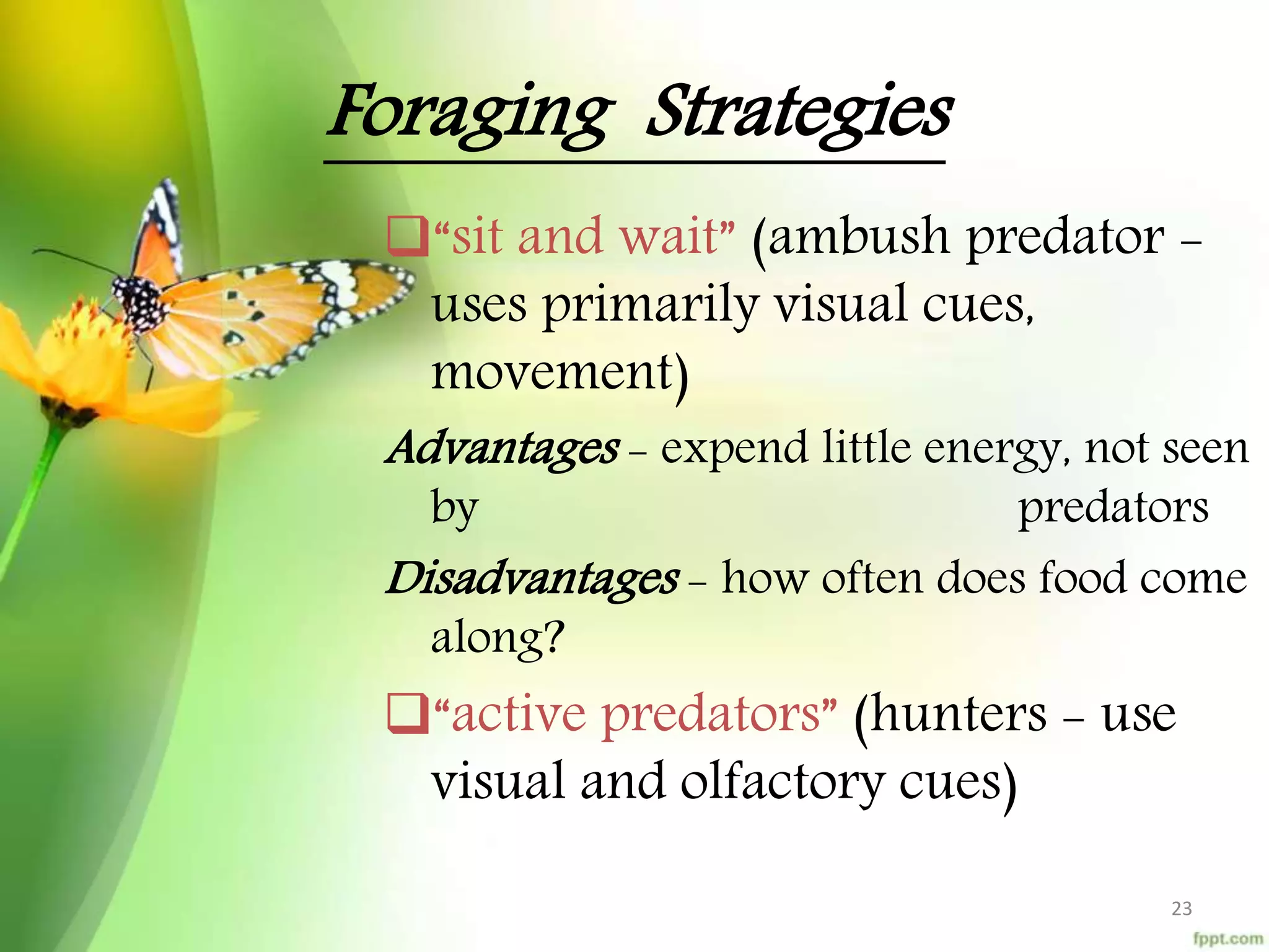 Animal behaviour | PPT