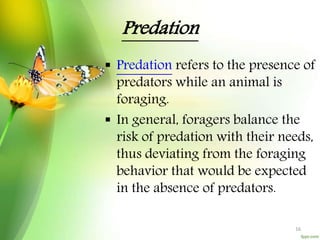 Animal behaviour | PPT