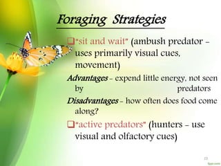 Animal behaviour | PPT