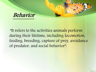 Animal behaviour | PPT