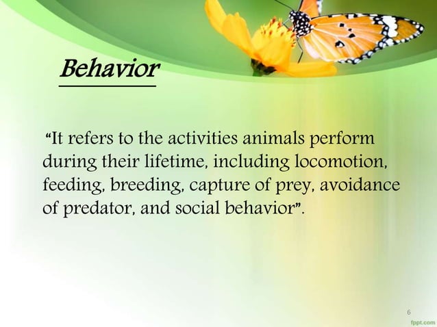Animal behaviour | PPT