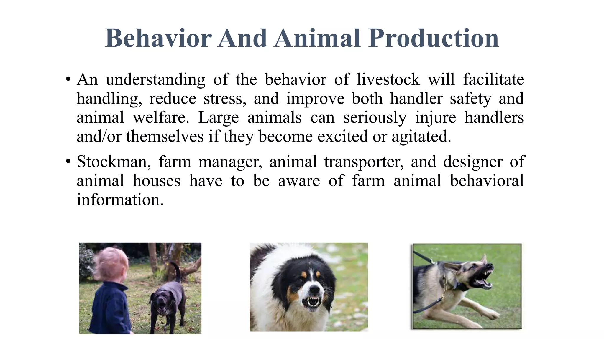 Animal behaviour | PPTX