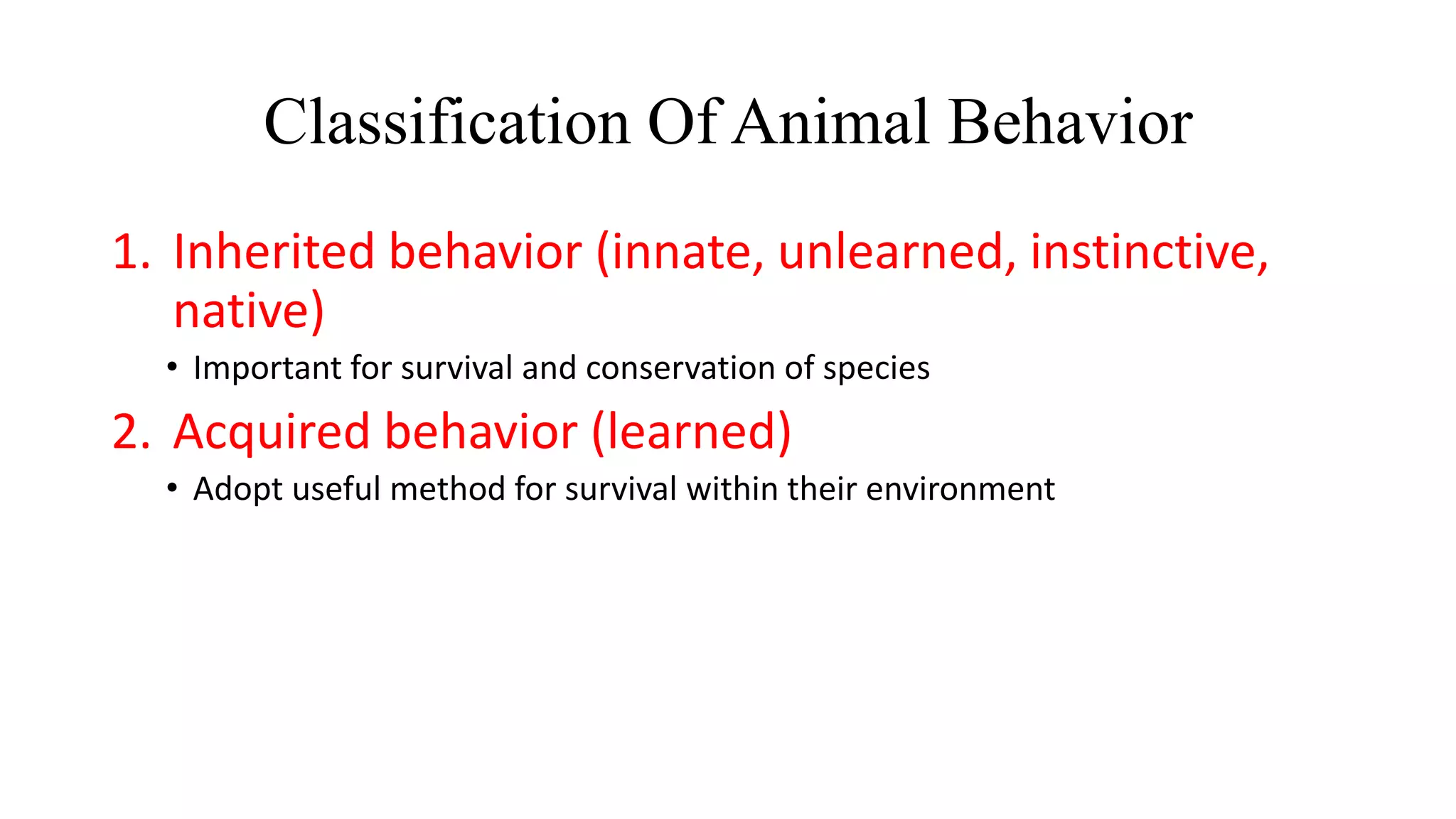 Animal behaviour | PPTX