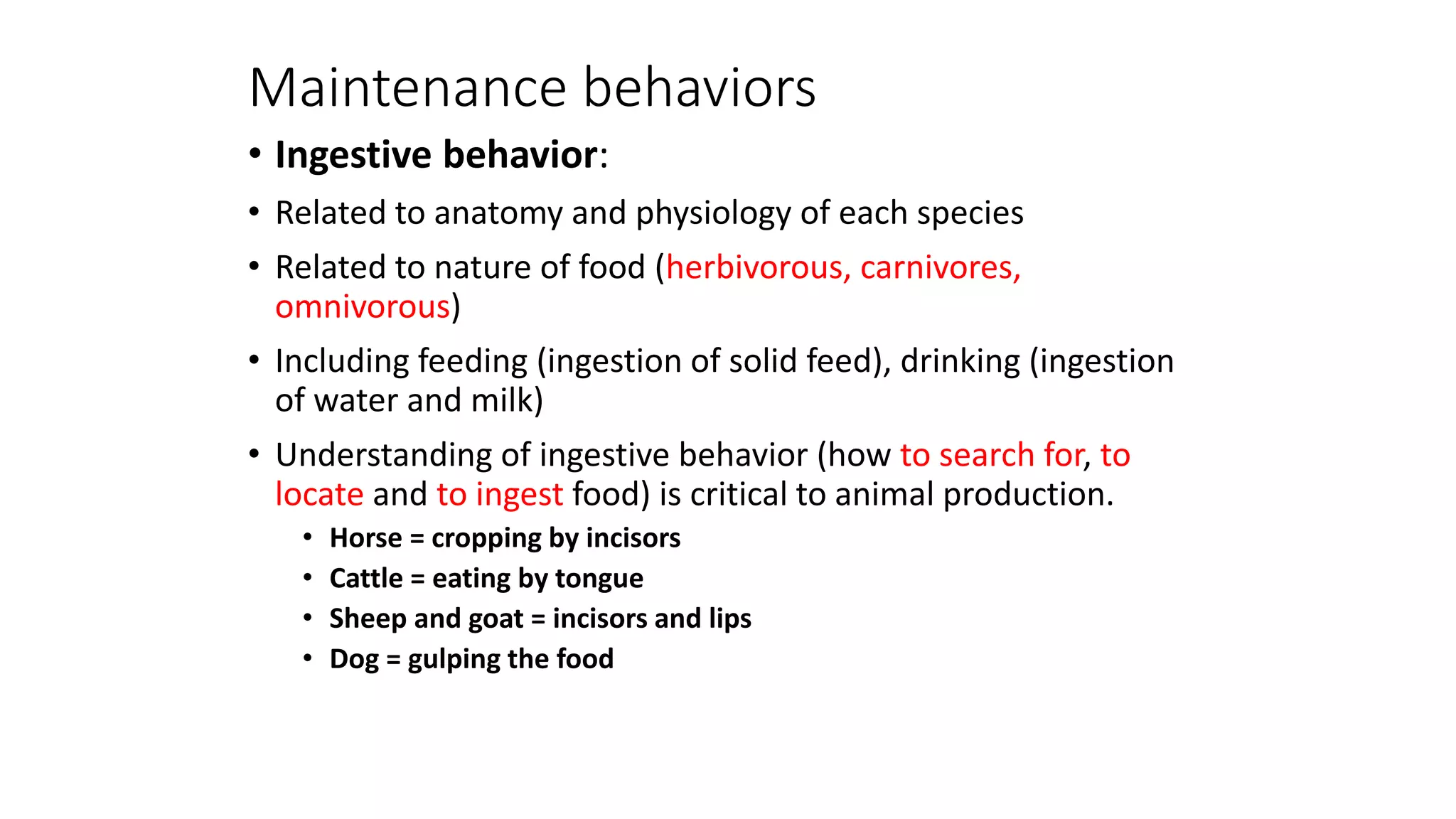 Animal behaviour | PPTX
