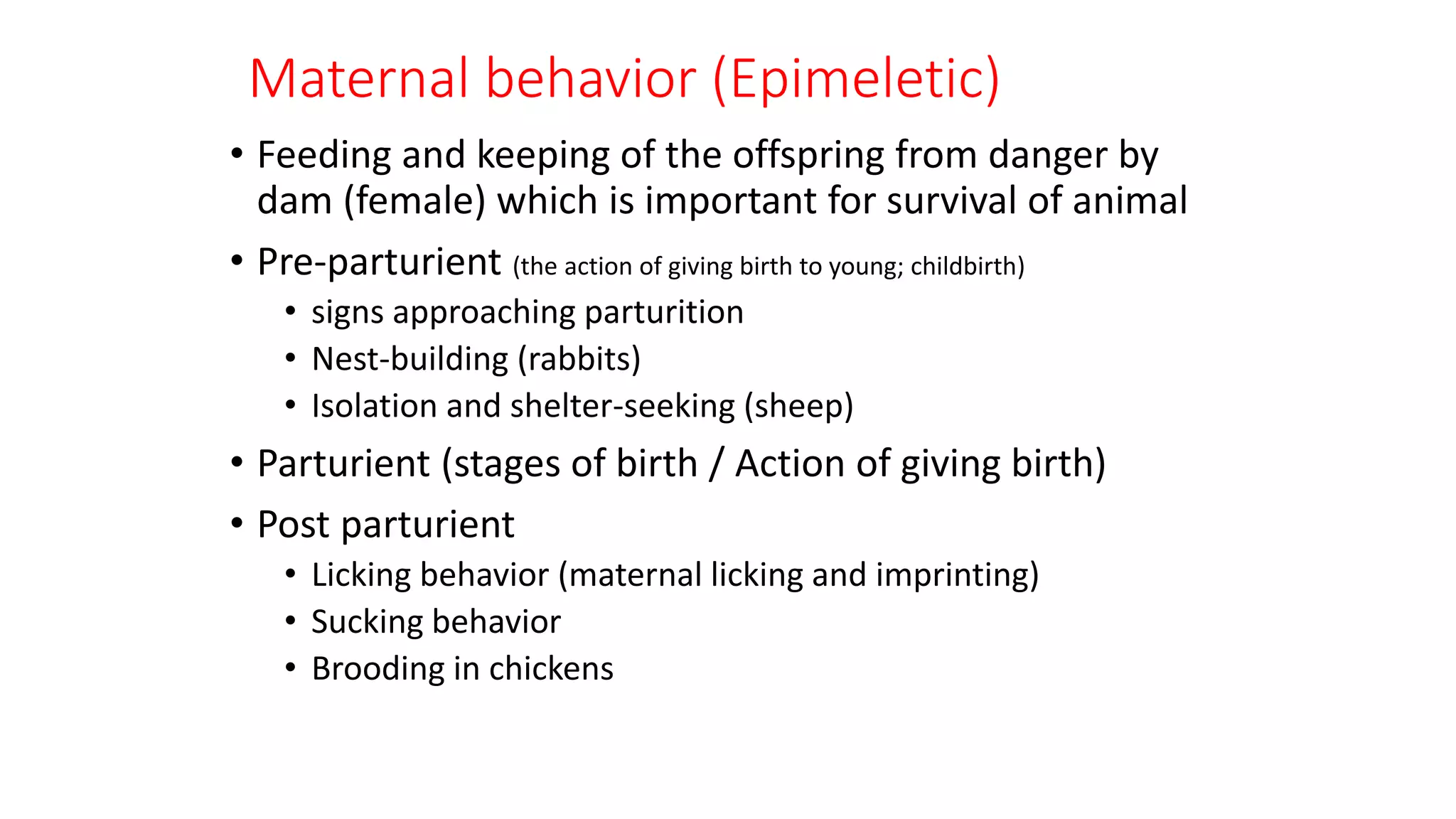 Animal behaviour | PPTX