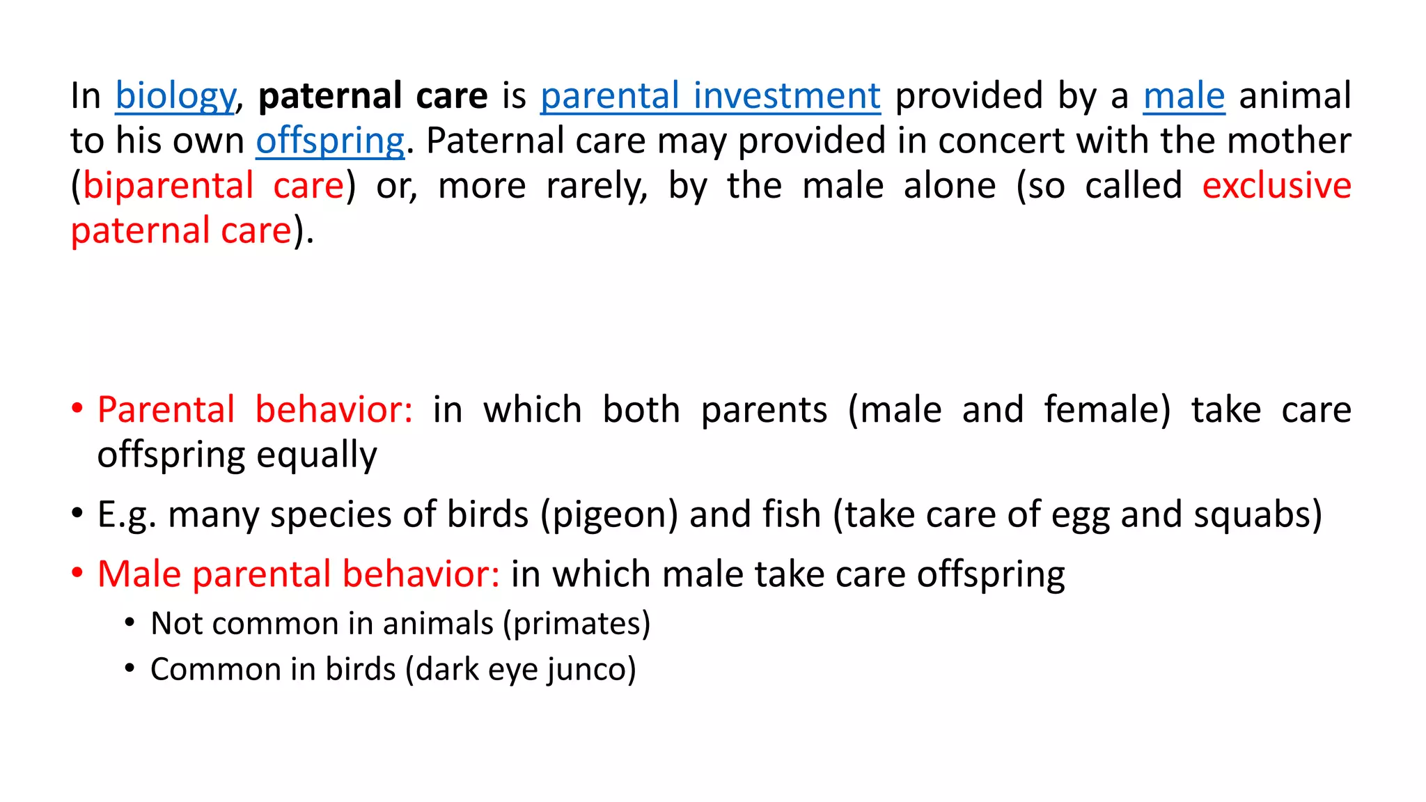 Animal behaviour | PPTX