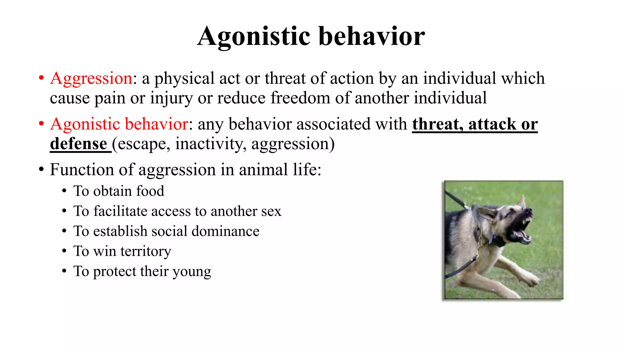 Animal behaviour | PPTX
