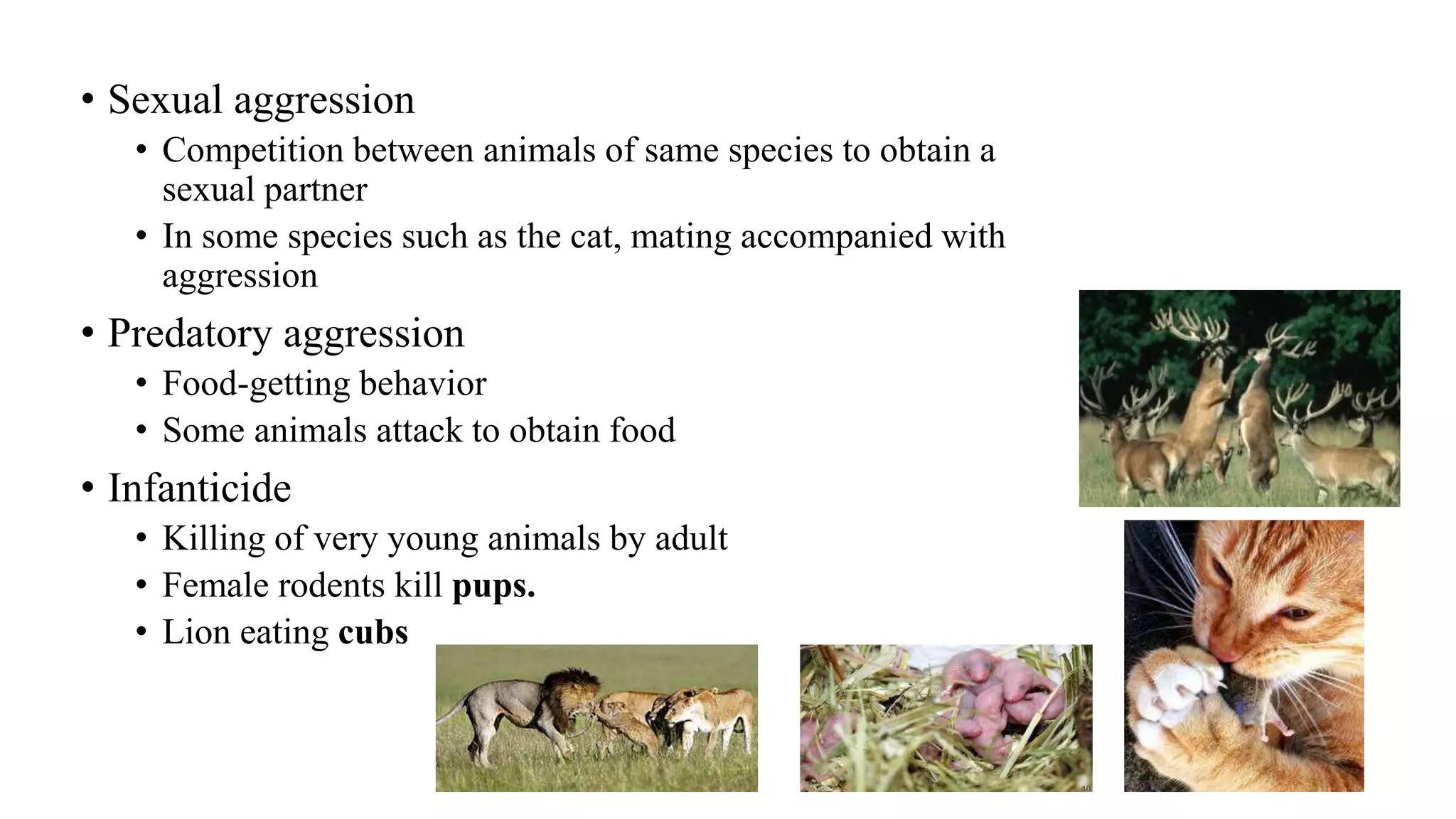 Animal behaviour | PPTX | Veterinary Medicine | Pets