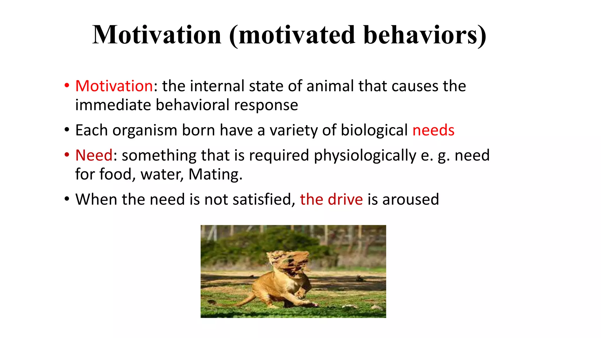 Animal behaviour | PPTX